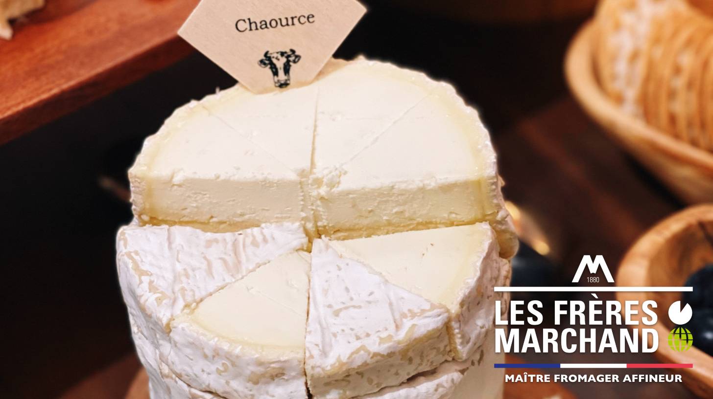 Chaource AOP : Fromage au lait de vache