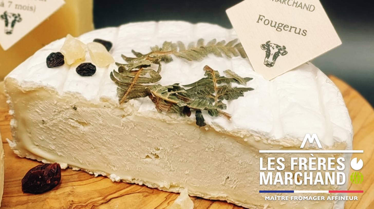 Fougerus : Fromage au lait de vache